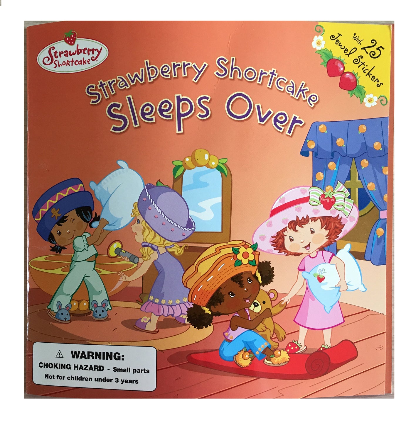 Strawberry Shortcake Sleeps Over Paperback Book with Jewel Stickers ...